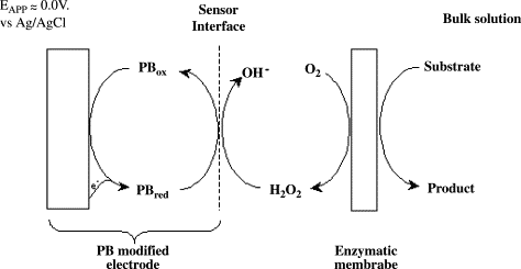 Understanding the chemical process in a fuel cell
