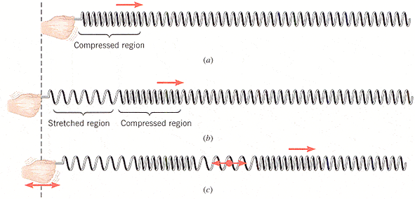 Wavelength Of A Longitudinal Wave Waves (in General)