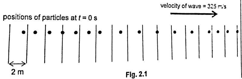 Longitudinal Wave Amplitude