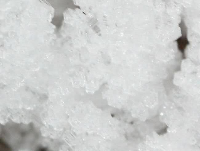 Rime Ice Time: Perfect Picture in Freezing Fog • Physics Forums