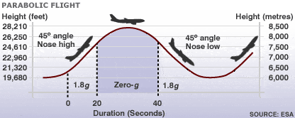 Understanding Zero-G Flight Physics: How Men Navigate Curved Paths in ...