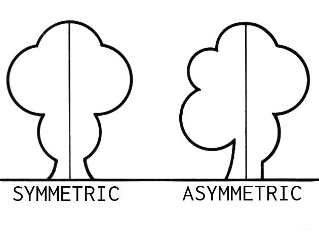 Symmetry and antisymmetry