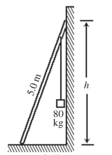 Force of the Ladder on a Wall Torque • Physics Forums