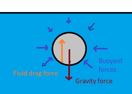 How do I draw all forces on a stone sinking in water? • Physics Forums
