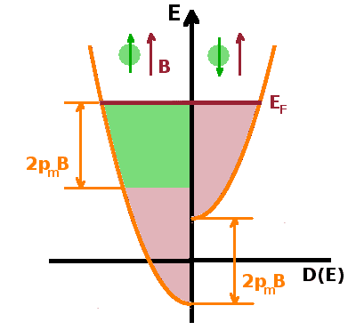 Fermi energy for two spin states equal in equilibrium? • Physics Forums