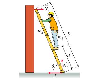 A person standing on a ladder : Static Equilibrium • Physics Forums