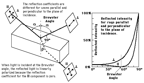 What is the Effect of Brewster's Angle on Refracted Light? • Physics Forums