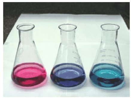 Why does my Patton-Reeder indicator immediately turn blue? (Ca2 conc ...