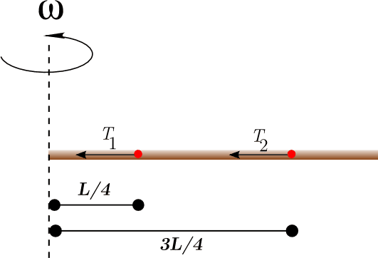 Tension in a rotating rod at various places • Physics Forums