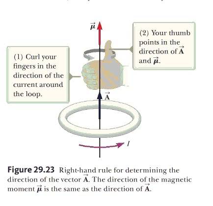 Right hand rule finding direction of magnetic force • Physics Forums