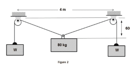 Statics Questions - Equilibrium in a pulley system