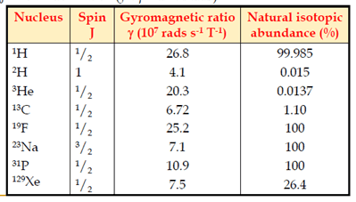 Magnetisation ratio in human body using gyromagnetic ratios • Physics ...