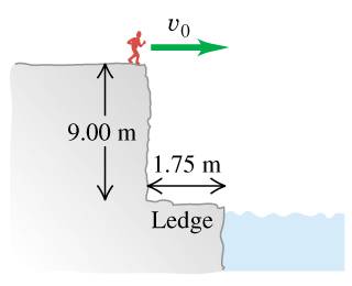 Projectile Motion Problem -Diving off cliff • Physics Forums